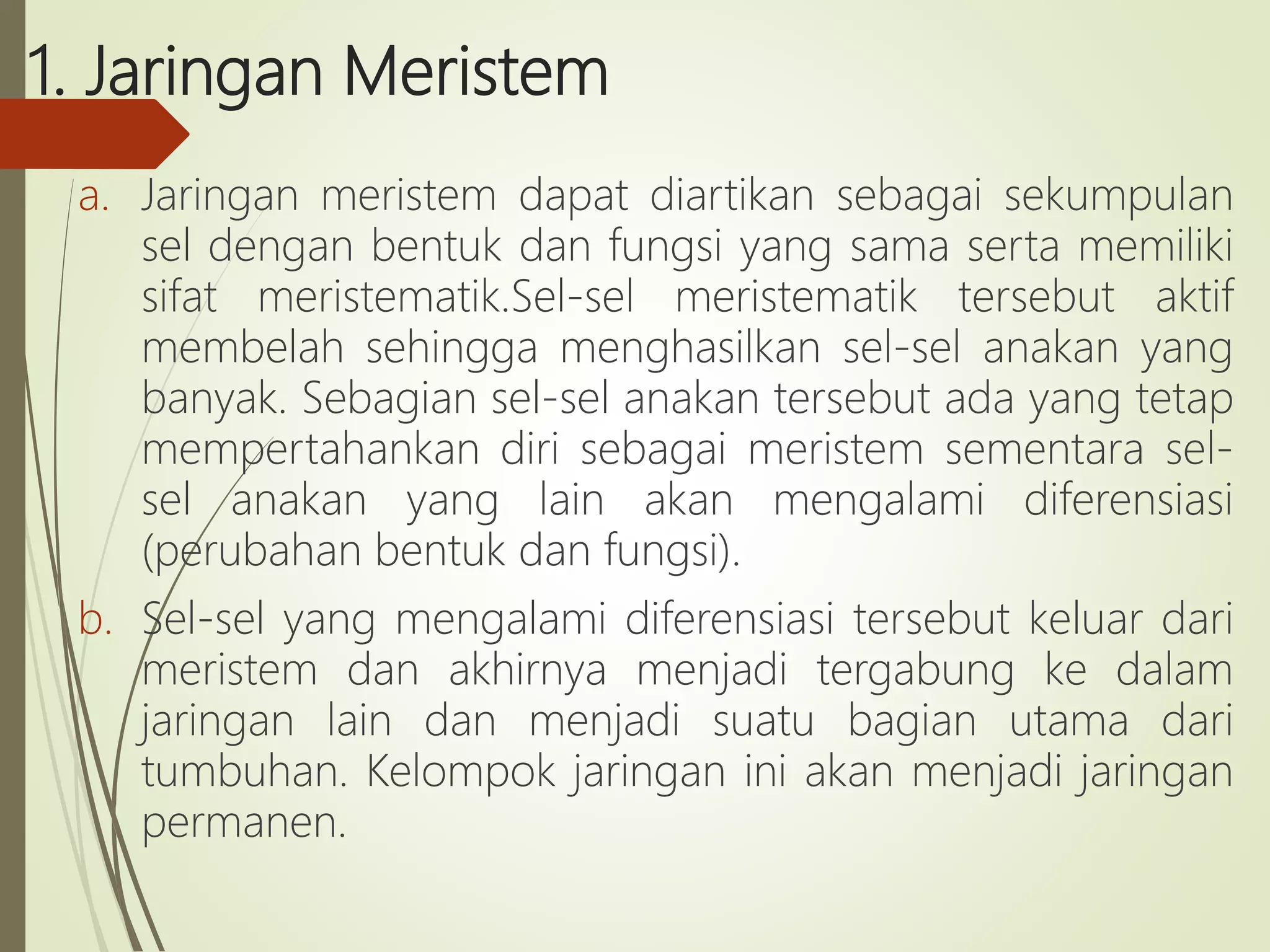5.struktur dan fungsi_jaringan_tumbuhan. | PPT