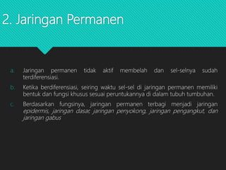 5.struktur dan fungsi_jaringan_tumbuhan. | PPTX