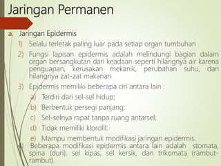 5.struktur dan fungsi_jaringan_tumbuhan. | PPTX