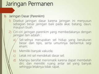 5.struktur dan fungsi_jaringan_tumbuhan. | PPTX