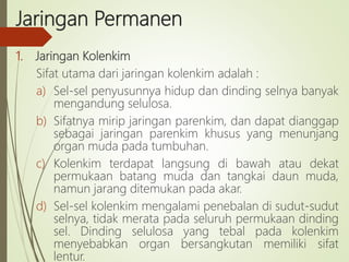 5.struktur dan fungsi_jaringan_tumbuhan. | PPTX