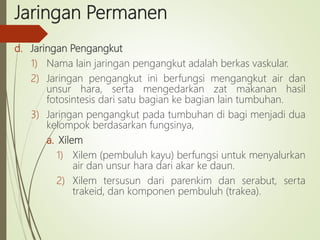 5.struktur dan fungsi_jaringan_tumbuhan. | PPTX