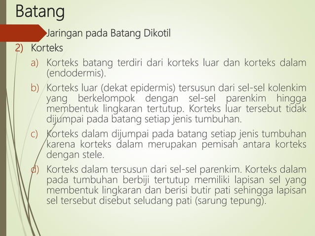 5.struktur dan fungsi_jaringan_tumbuhan. | PPT