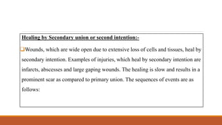 5.wound healing | PPTX