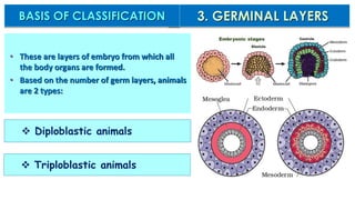 Animal kingdom by BNP | PDF