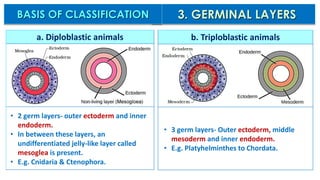 Animal kingdom by BNP | PDF