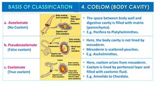 Animal kingdom by BNP | PDF