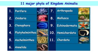 Animal kingdom by BNP | PDF