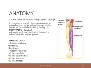 5.FEMORAL NERVE.pdf