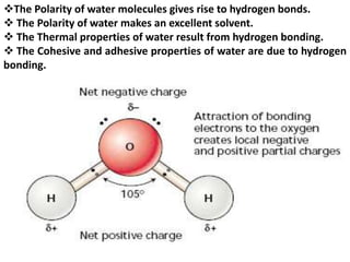 5. water -importance and significance-2014 M.Sc -E.pptx