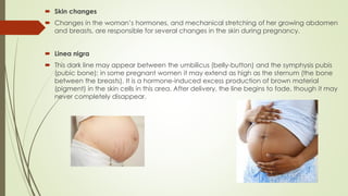 5.2 Physiological changes in the female reproductive system during ...