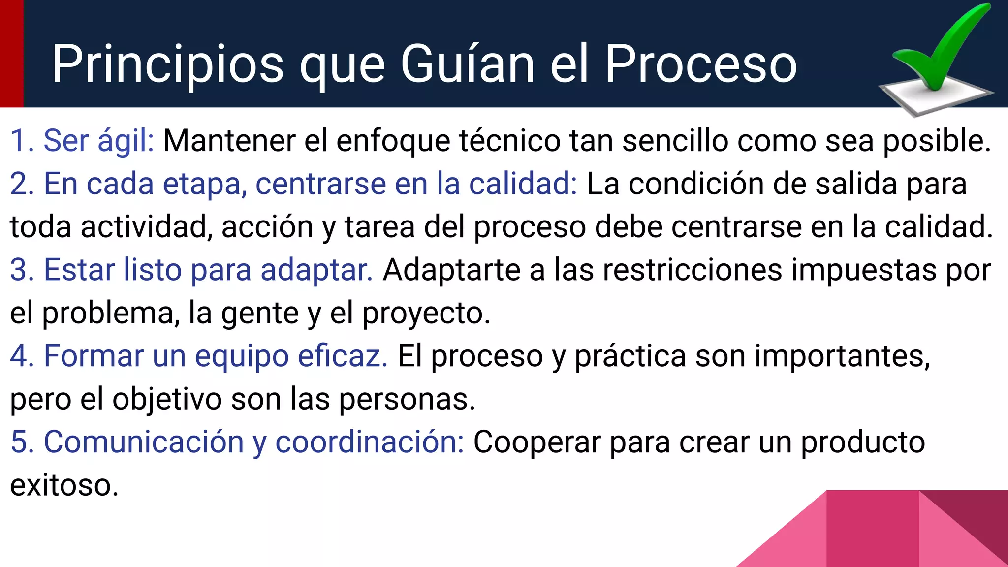 Principios que Guían la Práctica | PDF | Programming Languages | Computing