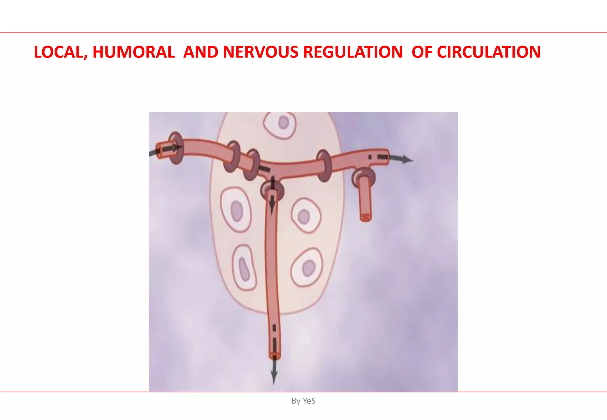 5. Local Neural and Hormonal Regulation of BP.pdf