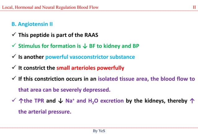 5 Local Neural And Hormonal Regulation Of Bp Pdf
