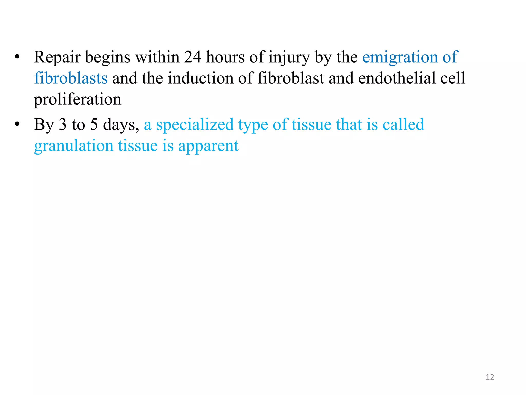 5. Tissue Repair and Wound healing-1.pptx