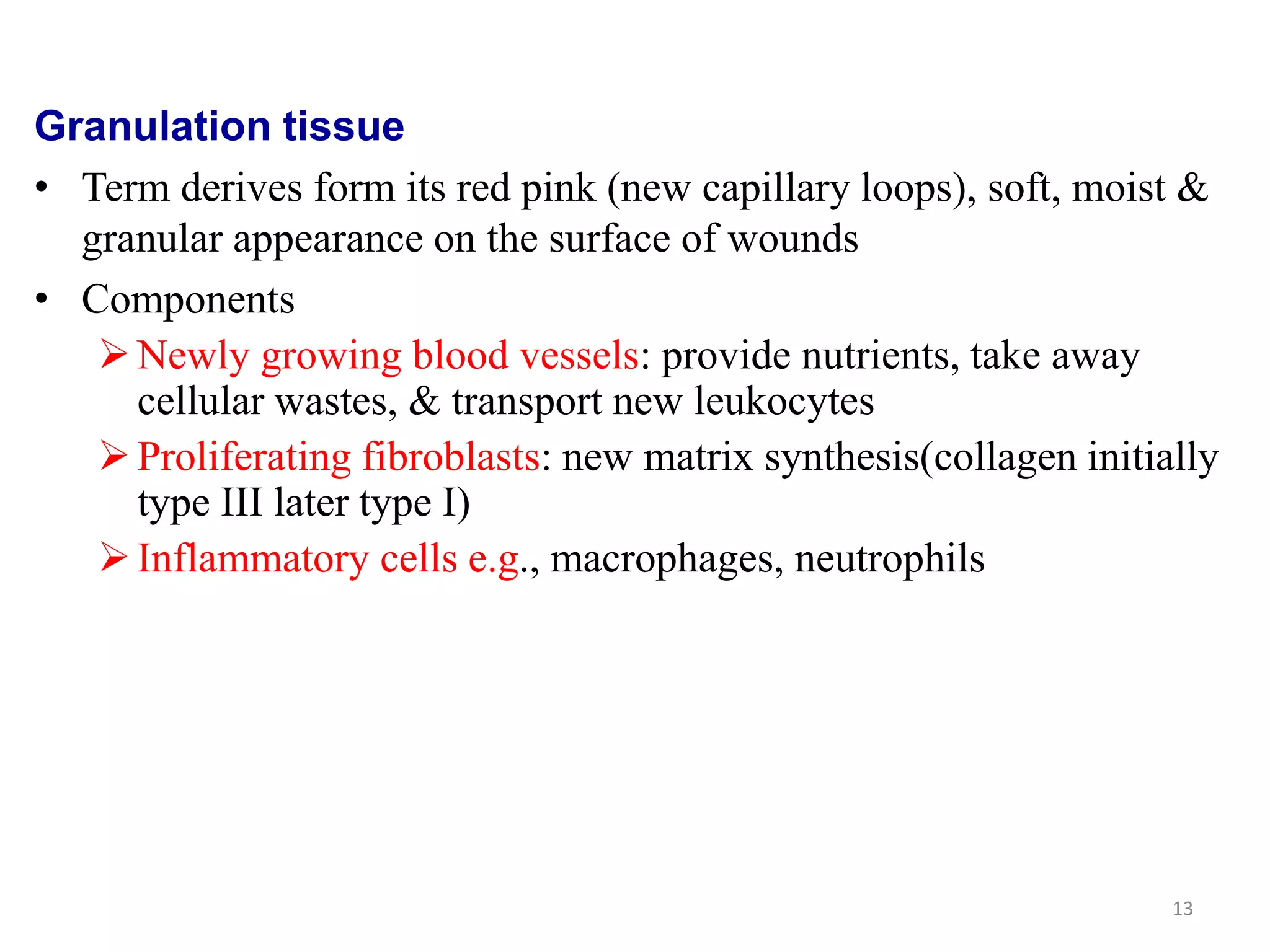5. Tissue Repair and Wound healing-1.pptx