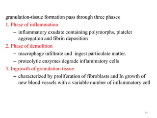 5. Tissue Repair and Wound healing-1.pptx