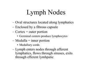 5.lymphatic system.ppt