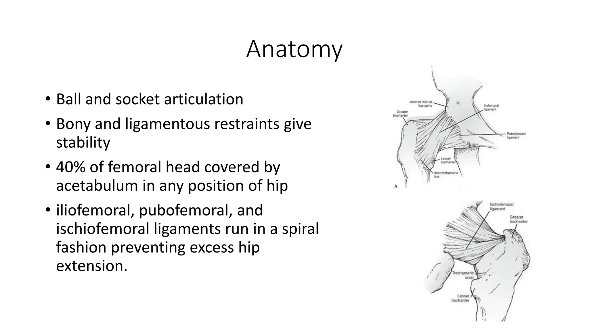 Common Dislocations and subluxations | PPTX