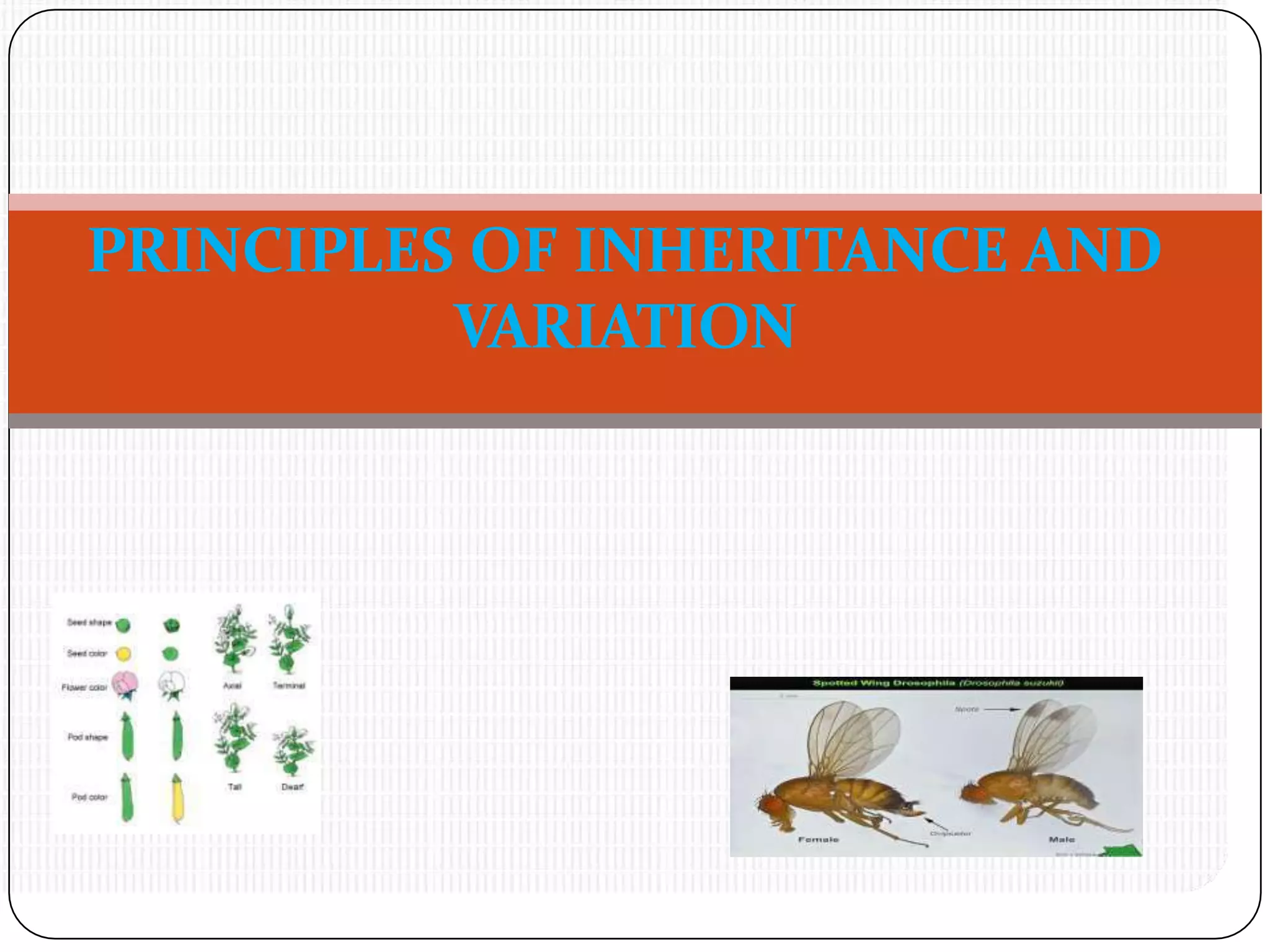 5._PRINCIPLES_OF_INHERITANCE_AND_VARIATION.pptx
