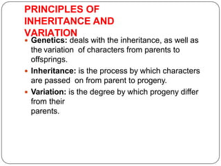 5._PRINCIPLES_OF_INHERITANCE_AND_VARIATION.pptx