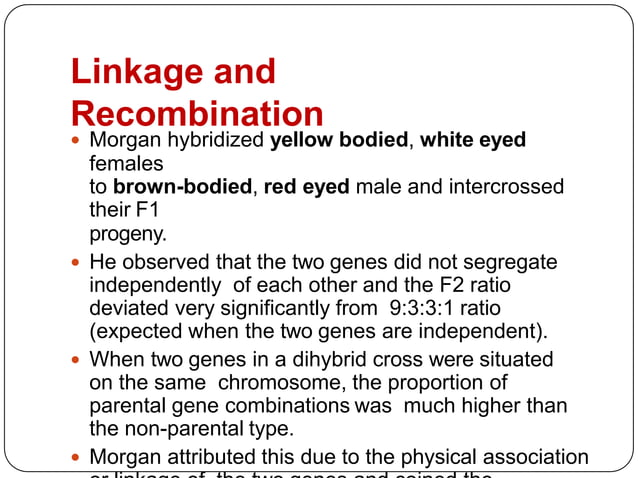 5._PRINCIPLES_OF_INHERITANCE_AND_VARIATION.pptx