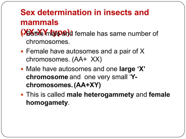 5._PRINCIPLES_OF_INHERITANCE_AND_VARIATION.pptx