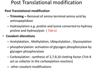 5.protein_synthesis_1.pdf