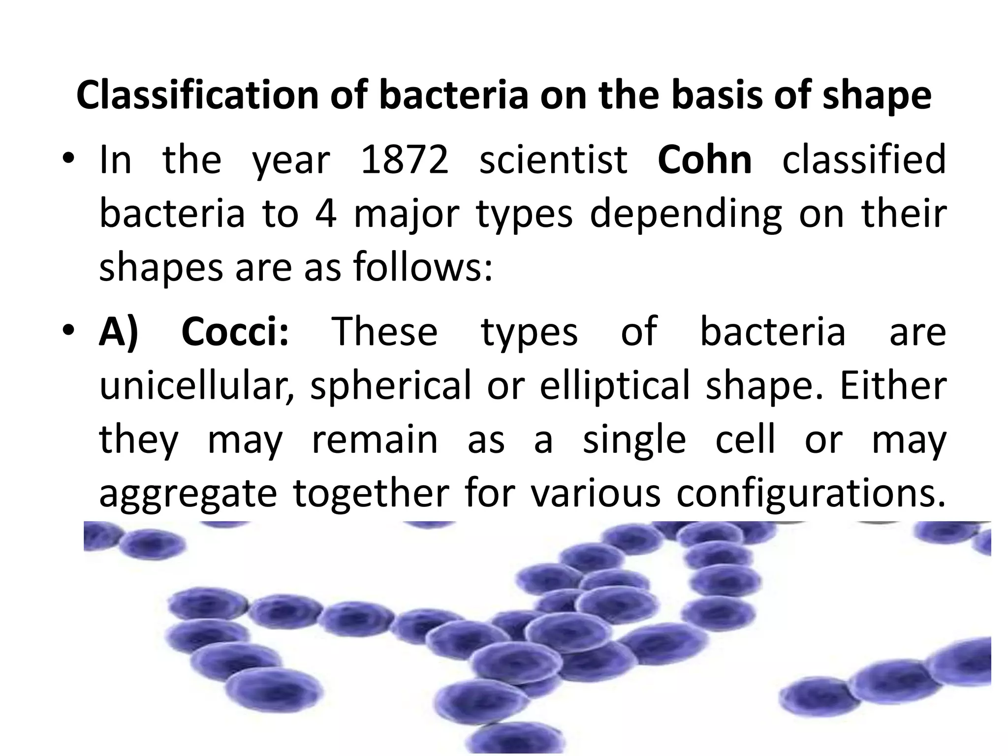 5. Classification of bacteria.pptx