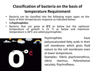 5. Classification of bacteria.pptx