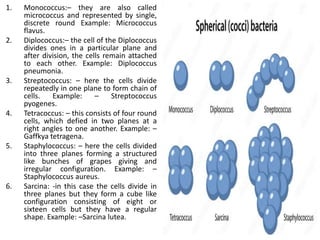 5. Classification of bacteria.pptx