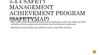 5.0 SAFETY AUDIT.pptx