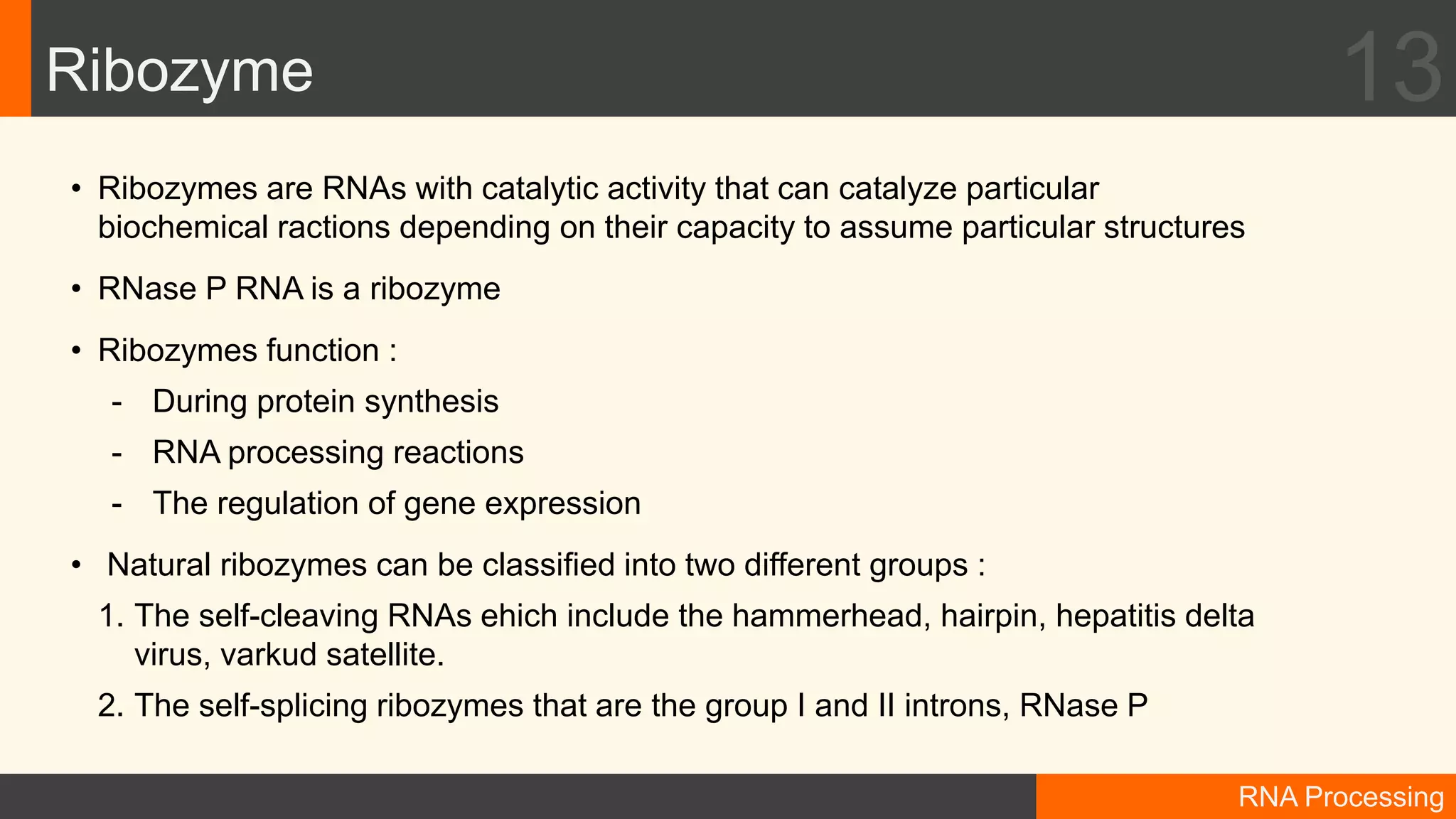 5.RNA Processing.pptx