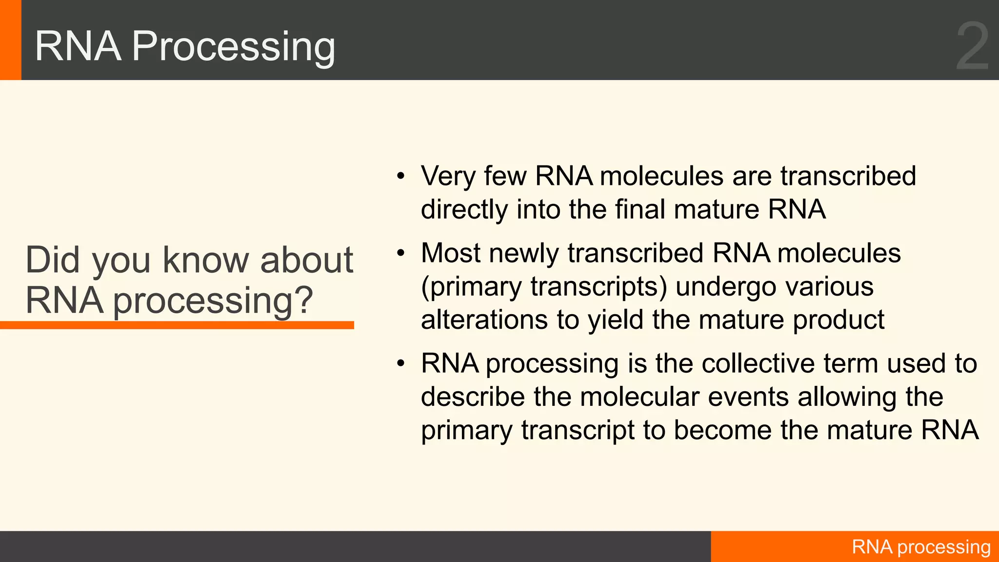 5.RNA Processing.pptx