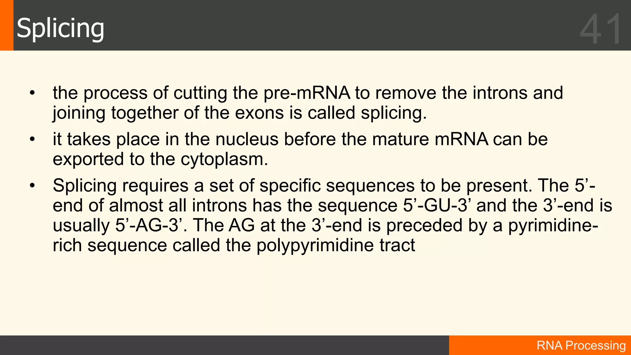 5.RNA Processing.pptx