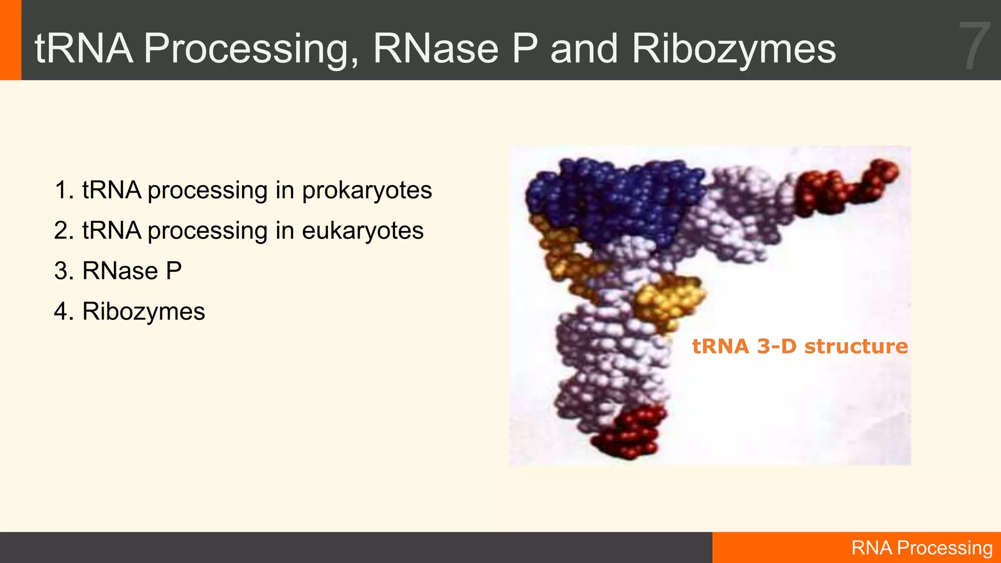 5.RNA Processing.pptx