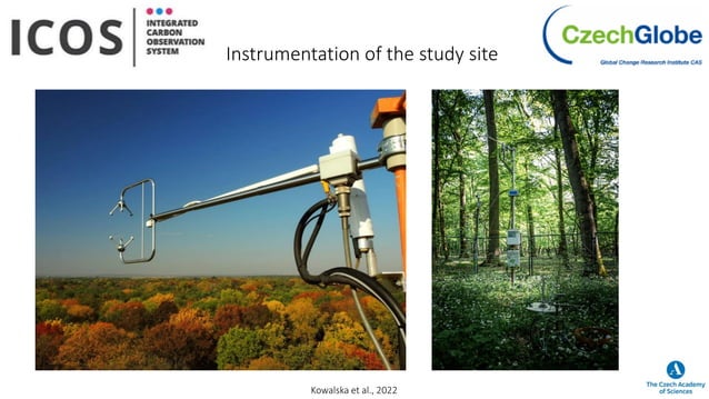 Kowalska, Natalia: Does Below-Above Canopy Air Mass Decoupling Impact Temperate Floodplain ...