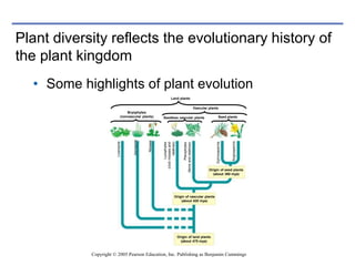 5. Plant diversity-Bryophytes.ppt
