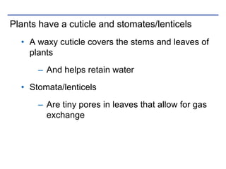 5. Plant diversity-Bryophytes.ppt