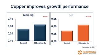 5. Twin Water Copper benefits CoRouge.pptx