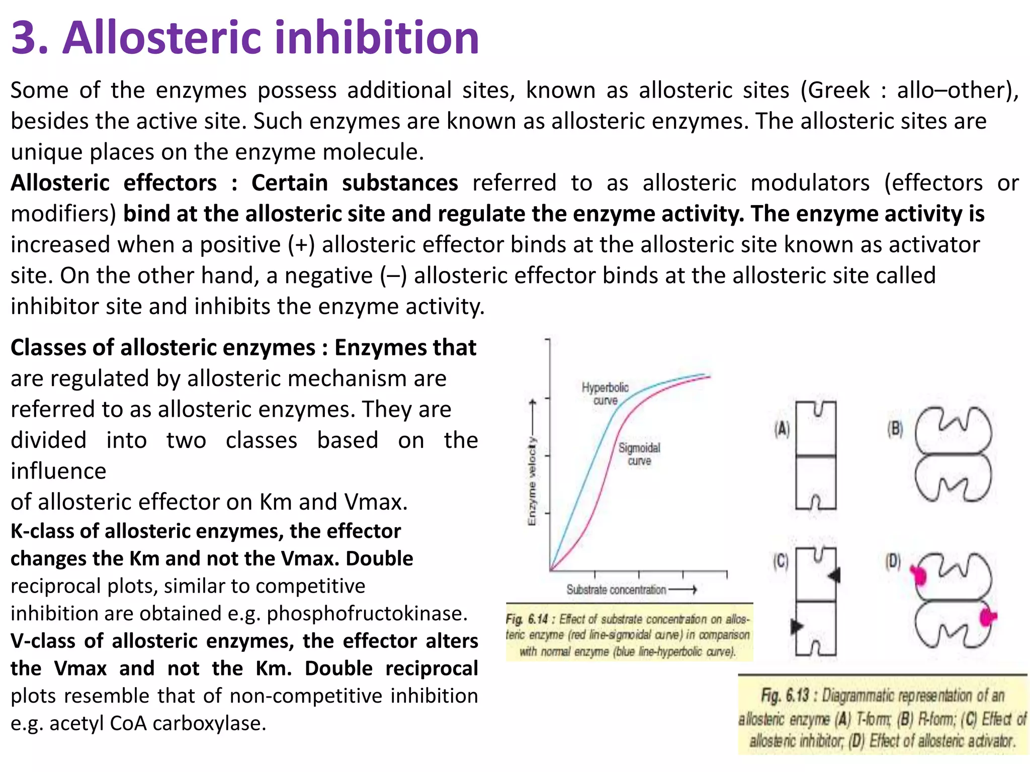 5.ENZYMES.pptx