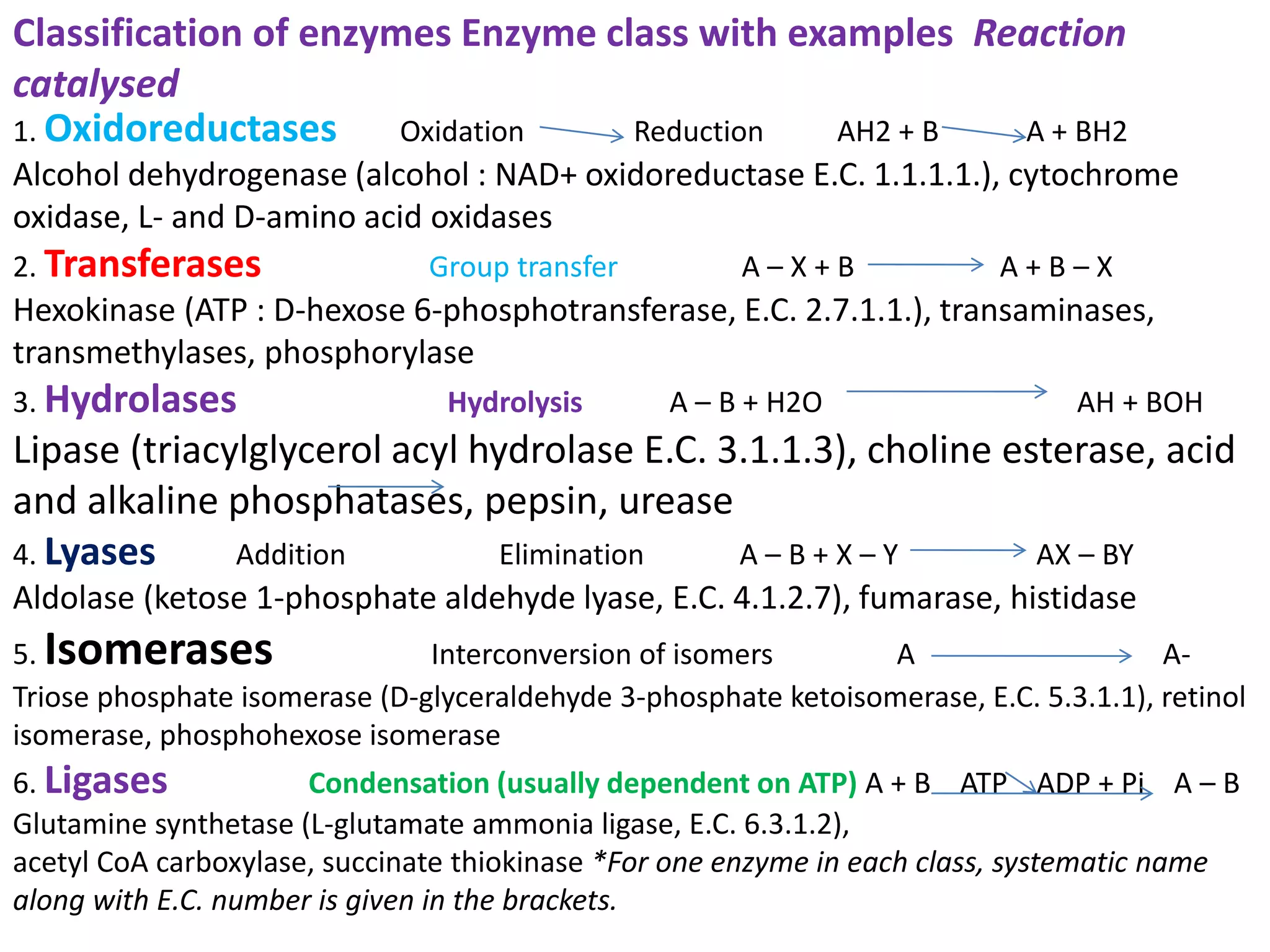5.ENZYMES.pptx