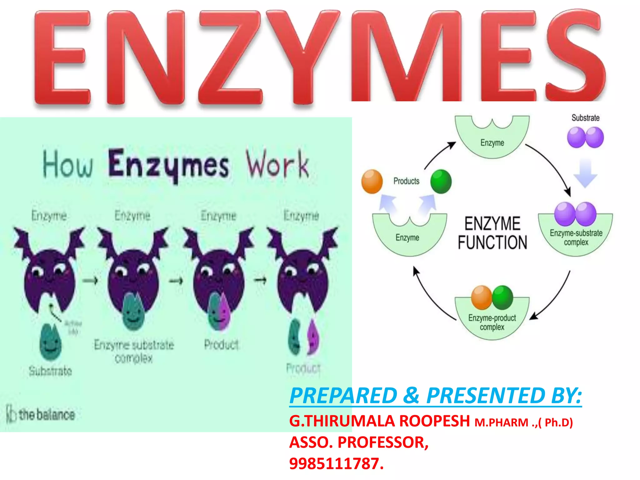 5.ENZYMES.pptx