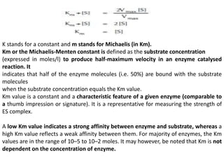5.ENZYMES.pptx