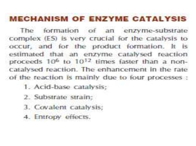 5.ENZYMES.pptx