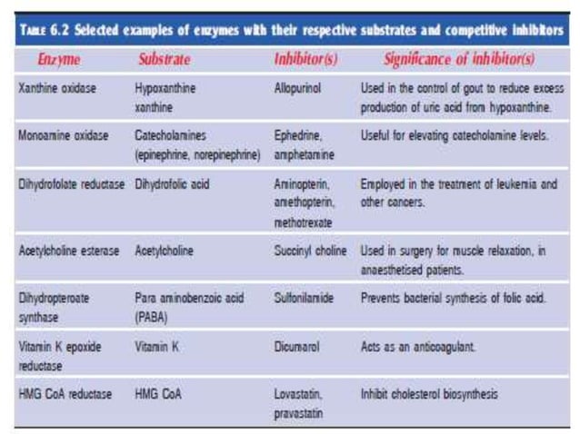 5.ENZYMES.pptx