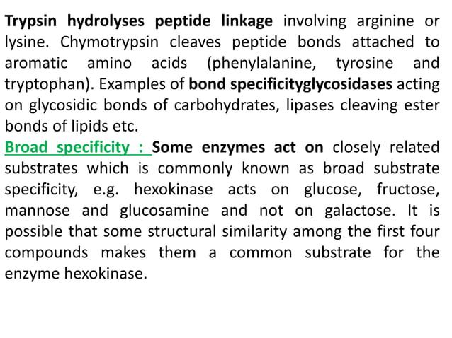 5.ENZYMES.pptx