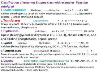 5.ENZYMES.pptx