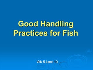 5._Good_Handling_practices_for_fish.pdf