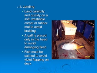 5._Good_Handling_practices_for_fish.pdf